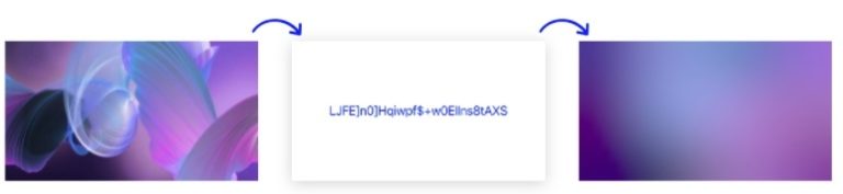 10 Best Image Packages for Flutter in 2023 | Tle Apps